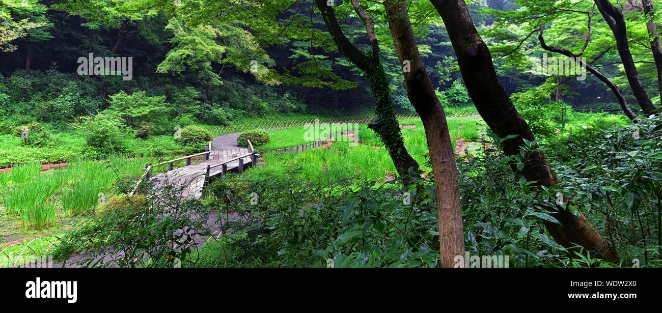 Traditional Japanese gardens in public parks in Tokyo, Japan. Views of ...