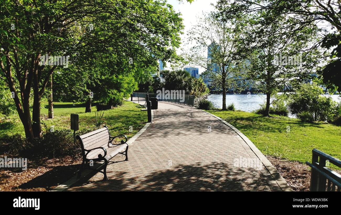 Jacksonville trees hi-res stock photography and images - Alamy