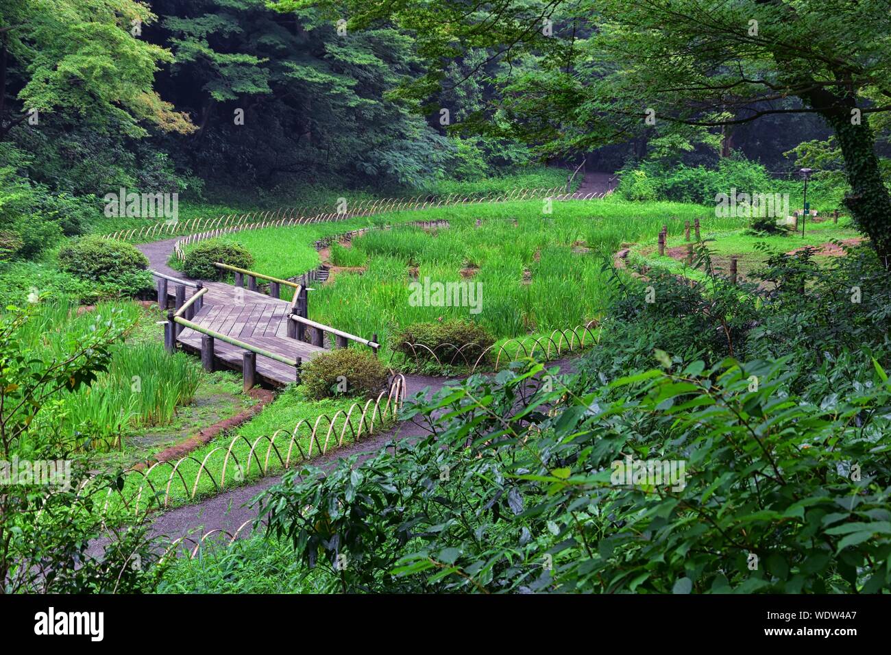 Traditional Japanese gardens in public parks in Tokyo, Japan. Views of ...