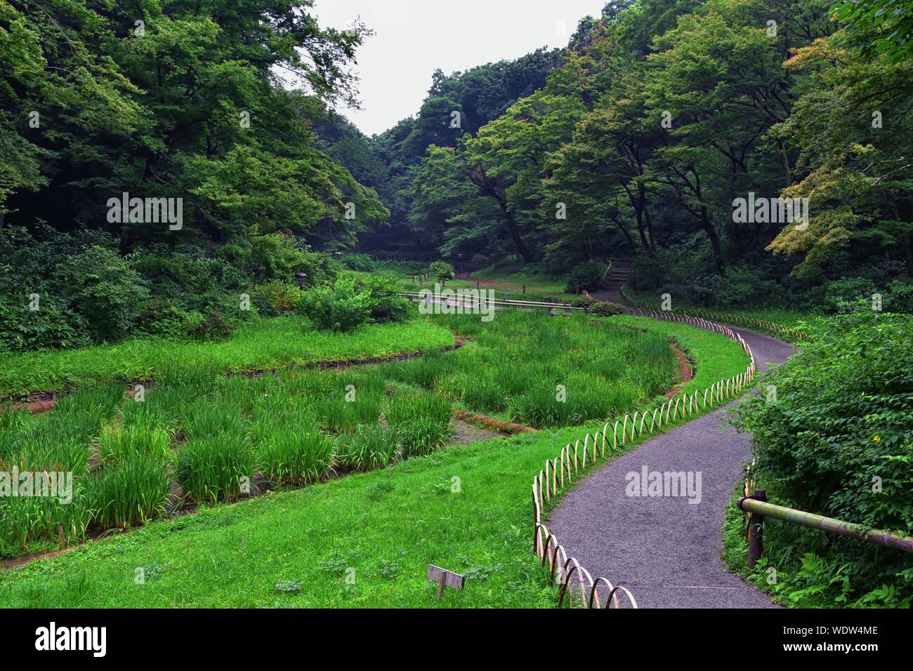 Traditional Japanese gardens in public parks in Tokyo, Japan. Views of ...