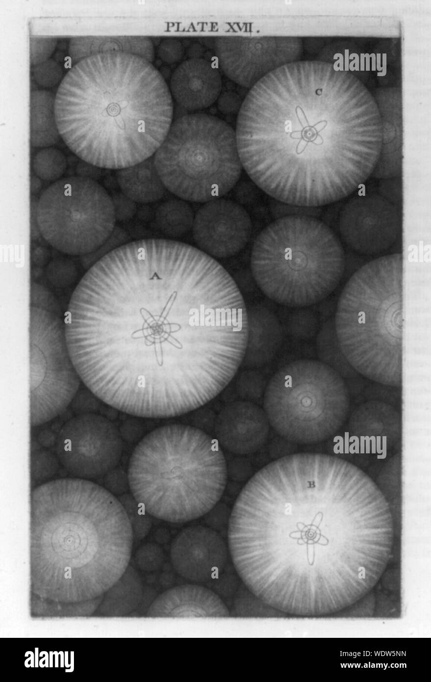 Groups of stars Abstract/medium: 1 print : engraving Stock Photo - Alamy