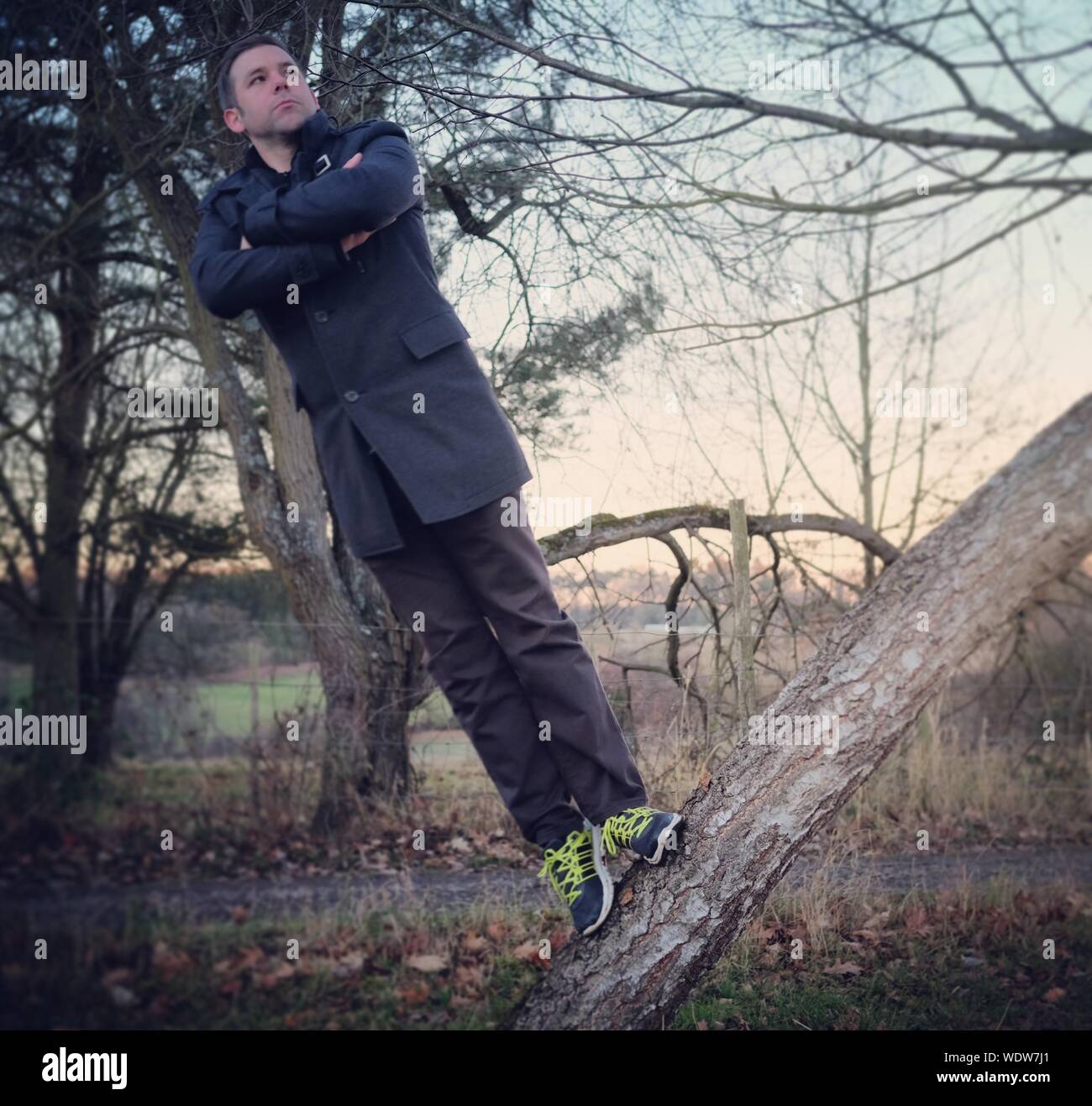 Slanted Tree High Resolution Stock Photography and Images - Alamy