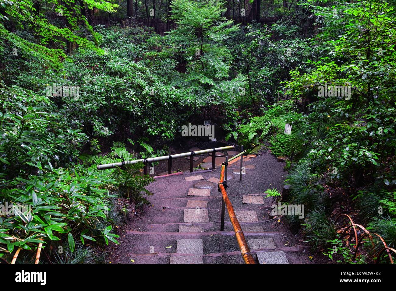 Traditional Japanese gardens in public parks in Tokyo, Japan. Views of ...