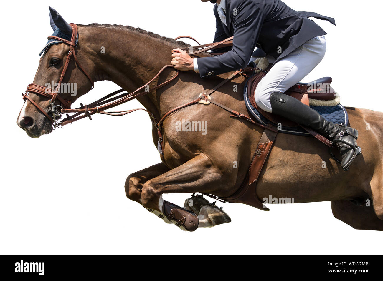Person horse race hi-res stock photography and images - Alamy