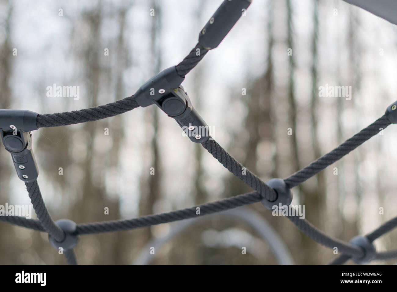 Jungle Rope High Resolution Stock Photography and Images - Alamy