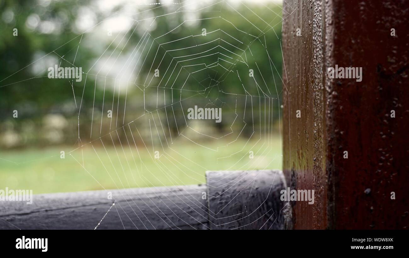 Spider On Railing High Resolution Stock Photography and Images - Alamy
