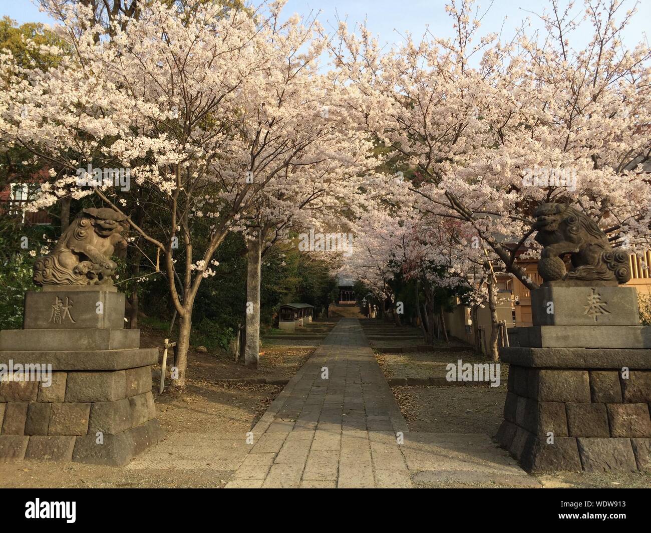 Shrine pathway hi-res stock photography and images - Alamy