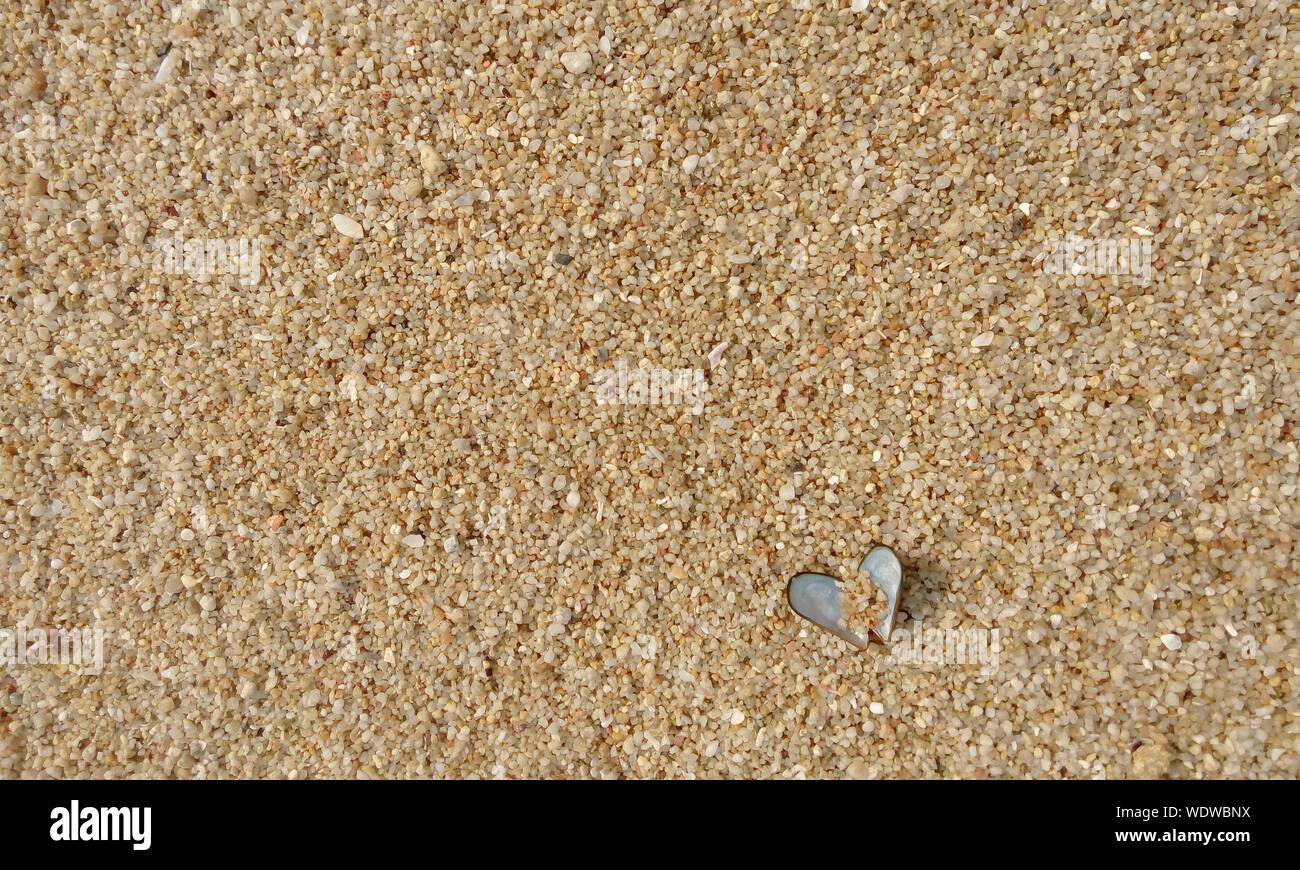 Seashell heart hi-res stock photography and images - Alamy