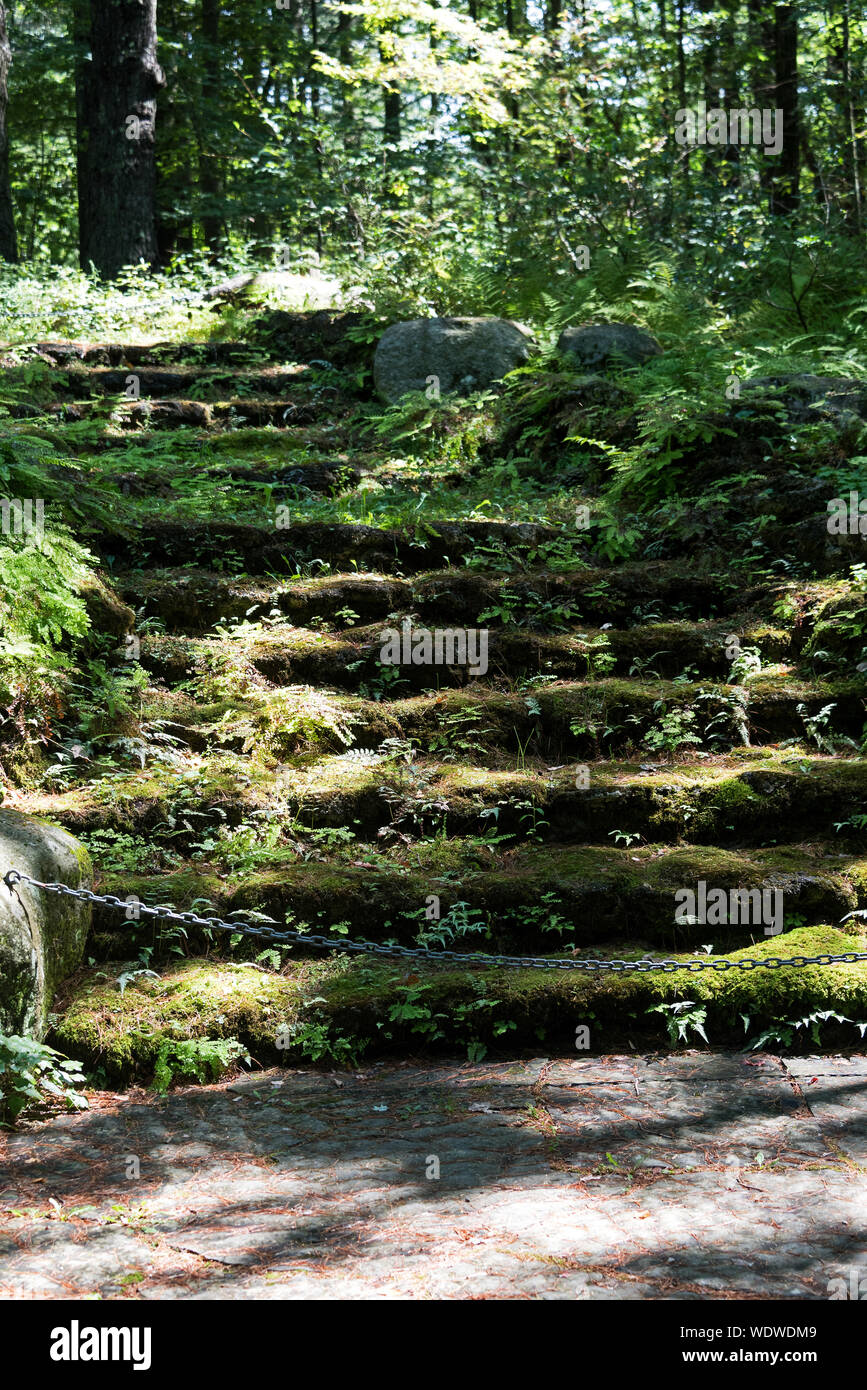 Moss-covered steps recreating a set designed by Fletcher Steele for the ...