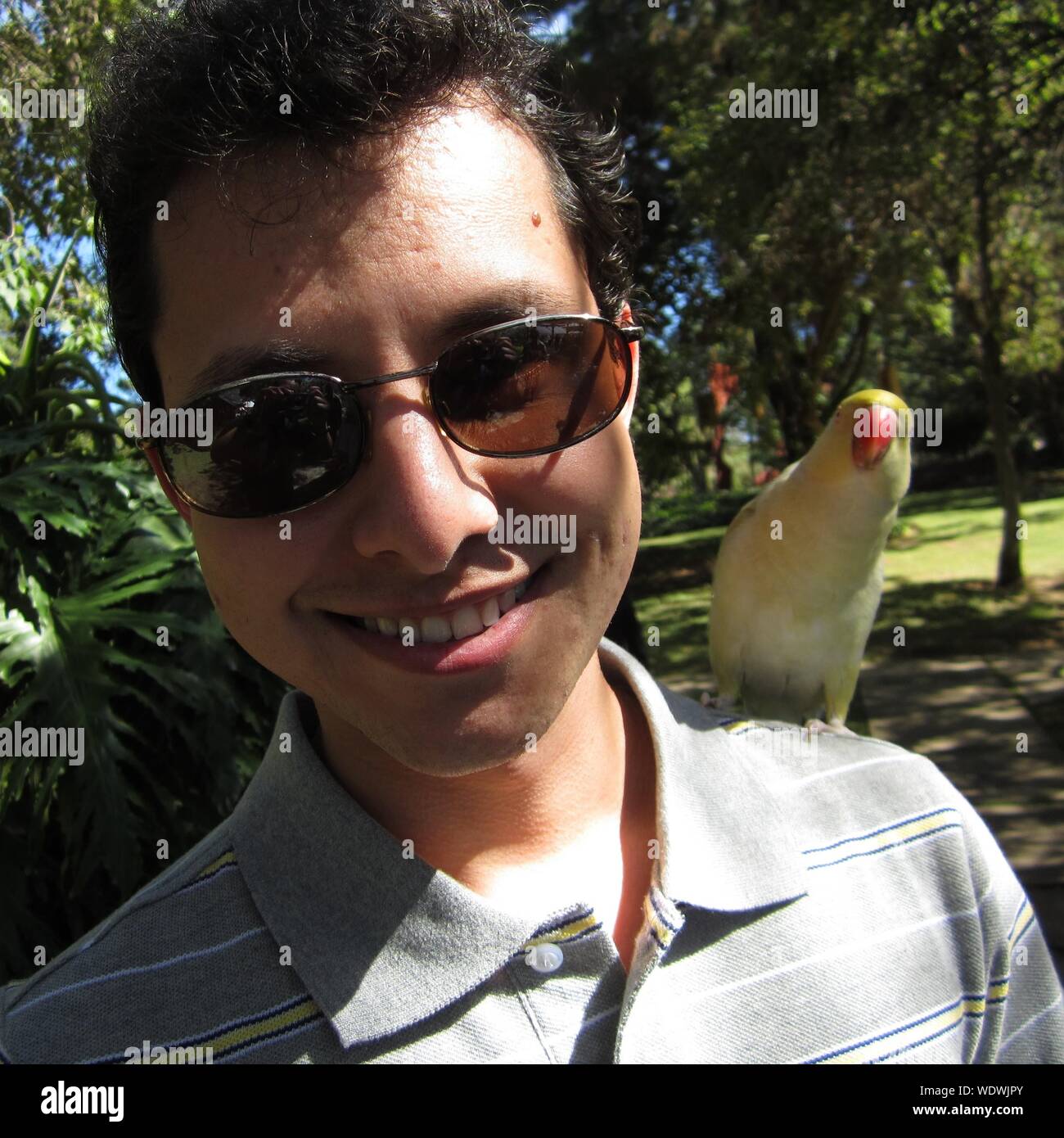 Parrot On Shoulder High Resolution Stock Photography and Images - Alamy