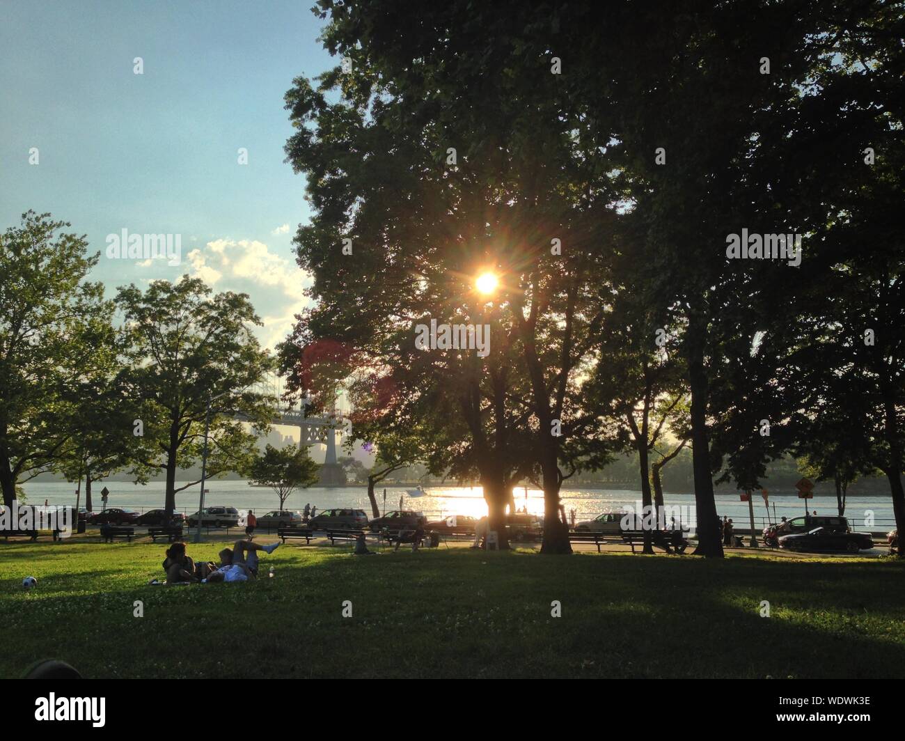 Shining trees hi-res stock photography and images - Alamy