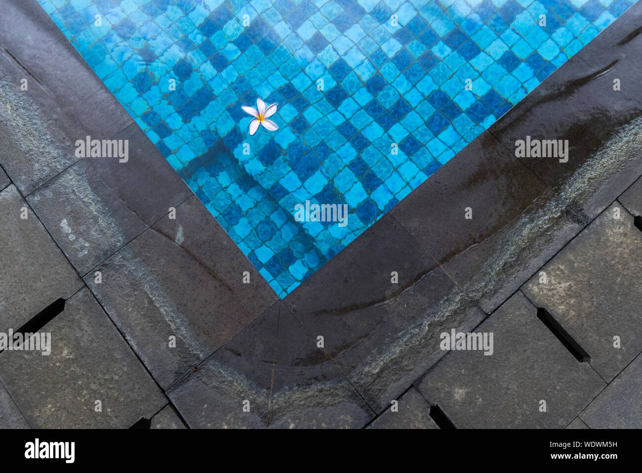 Pool edge hi-res stock photography and images - Alamy