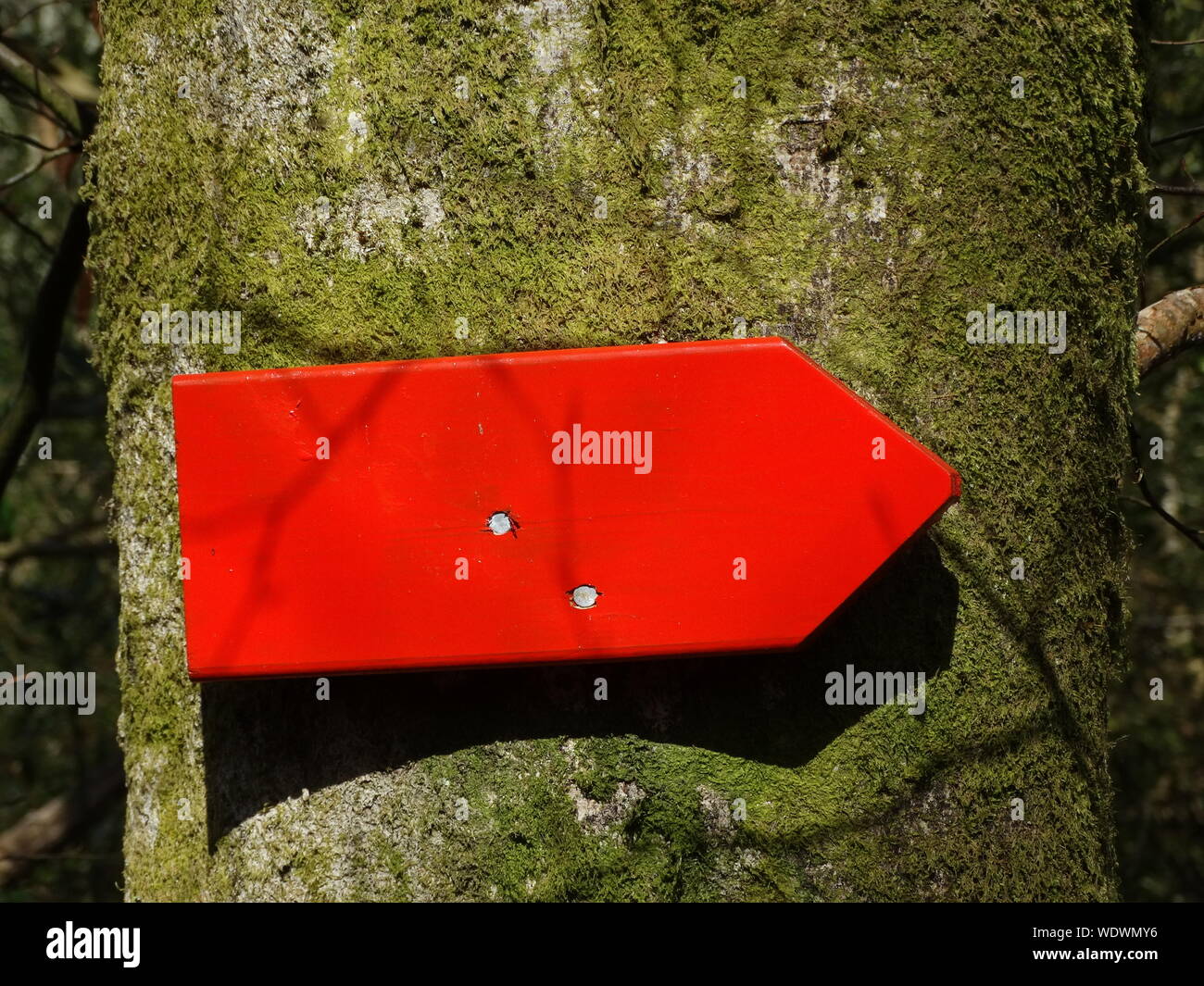 Red arrow close up hi-res stock photography and images - Alamy