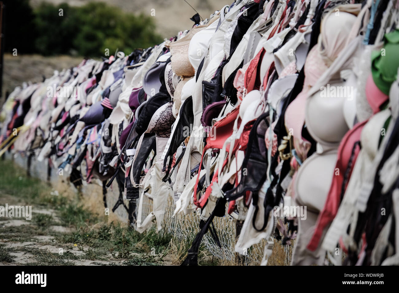 Drying field hi-res stock photography and images - Alamy