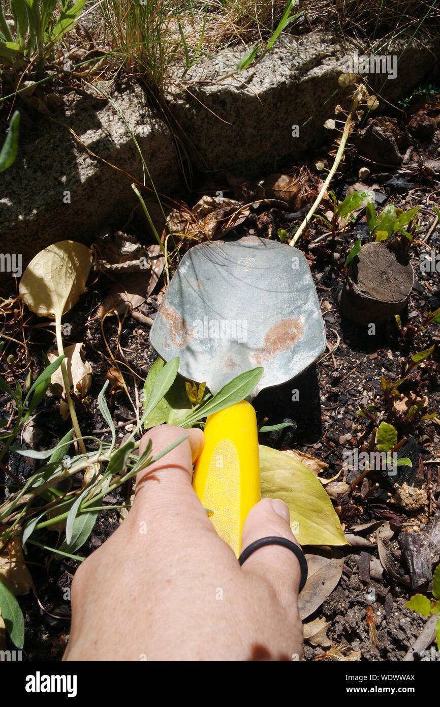 Hand Shovel High Resolution Stock Photography and Images - Alamy