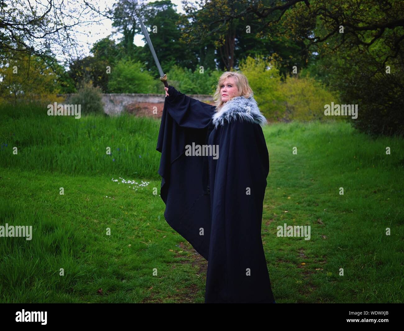 Raising Sword High Resolution Stock Photography and Images - Alamy