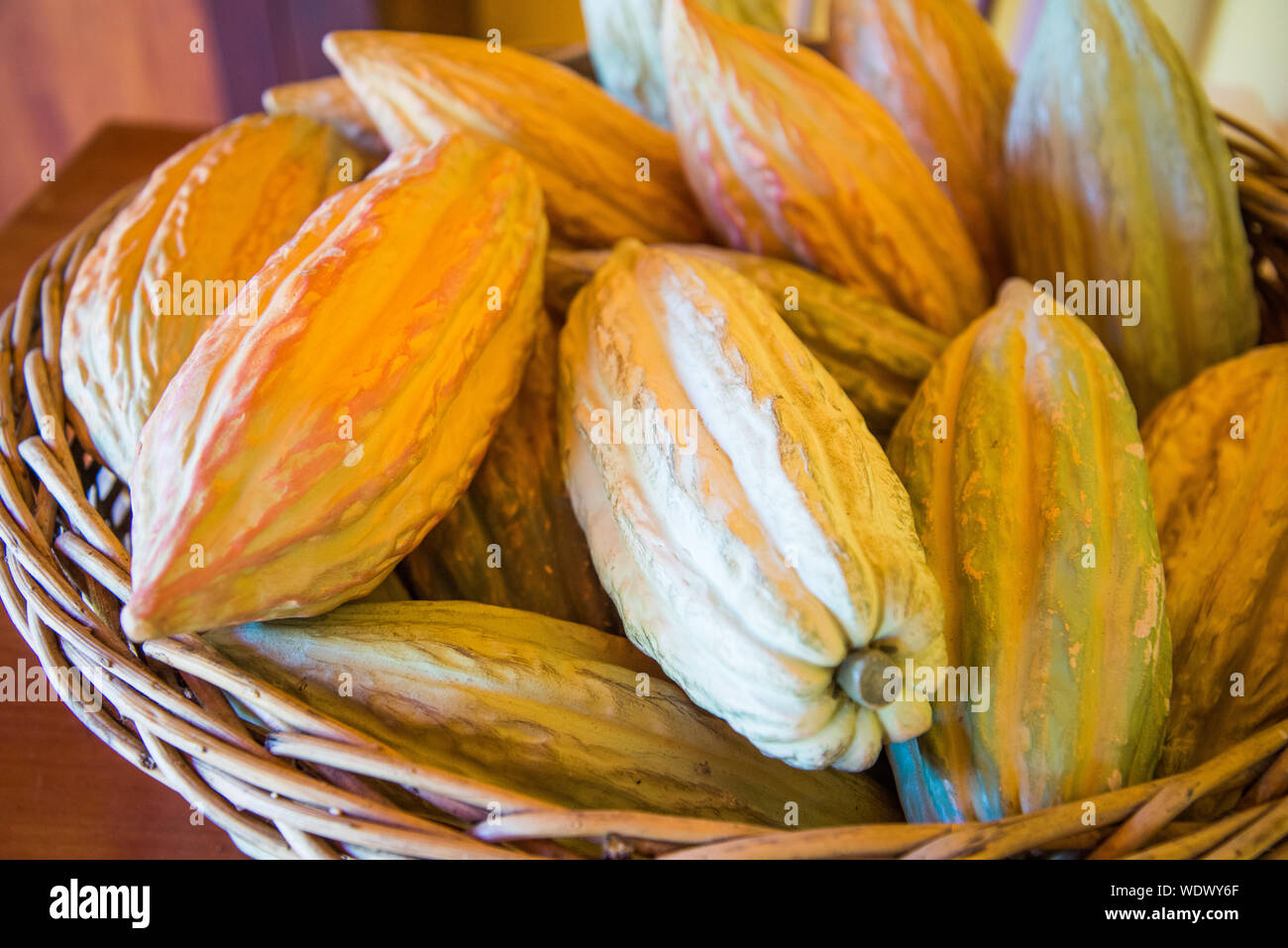 Mexico cacao farm hi-res stock photography and images - Alamy