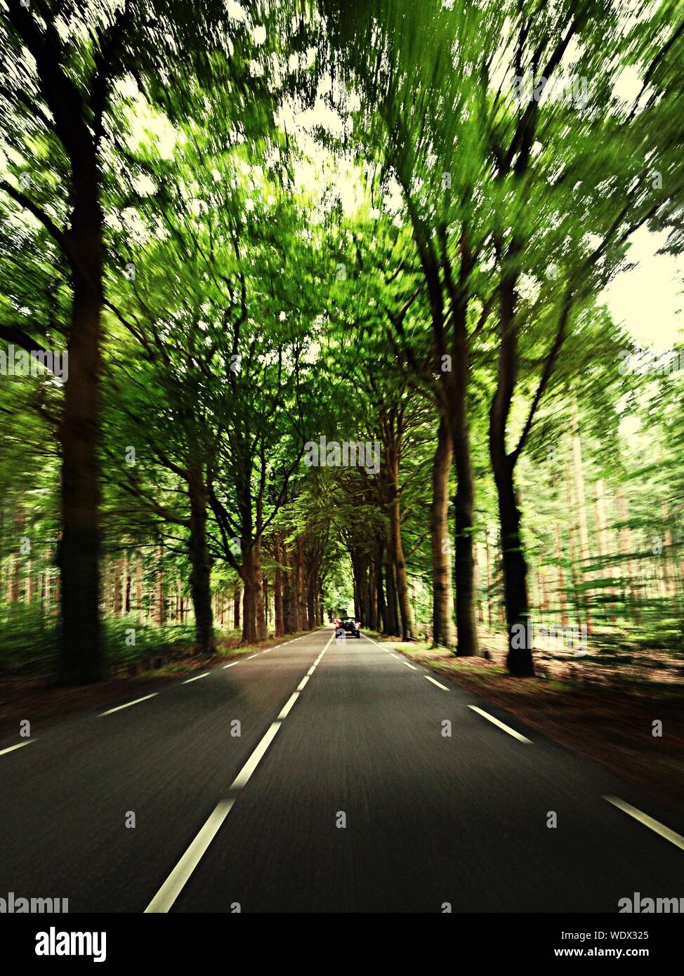 Car passing through forest hi-res stock photography and images - Alamy