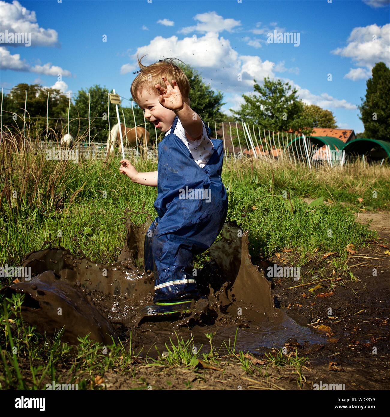 Muddy field hi-res stock photography and images - Alamy