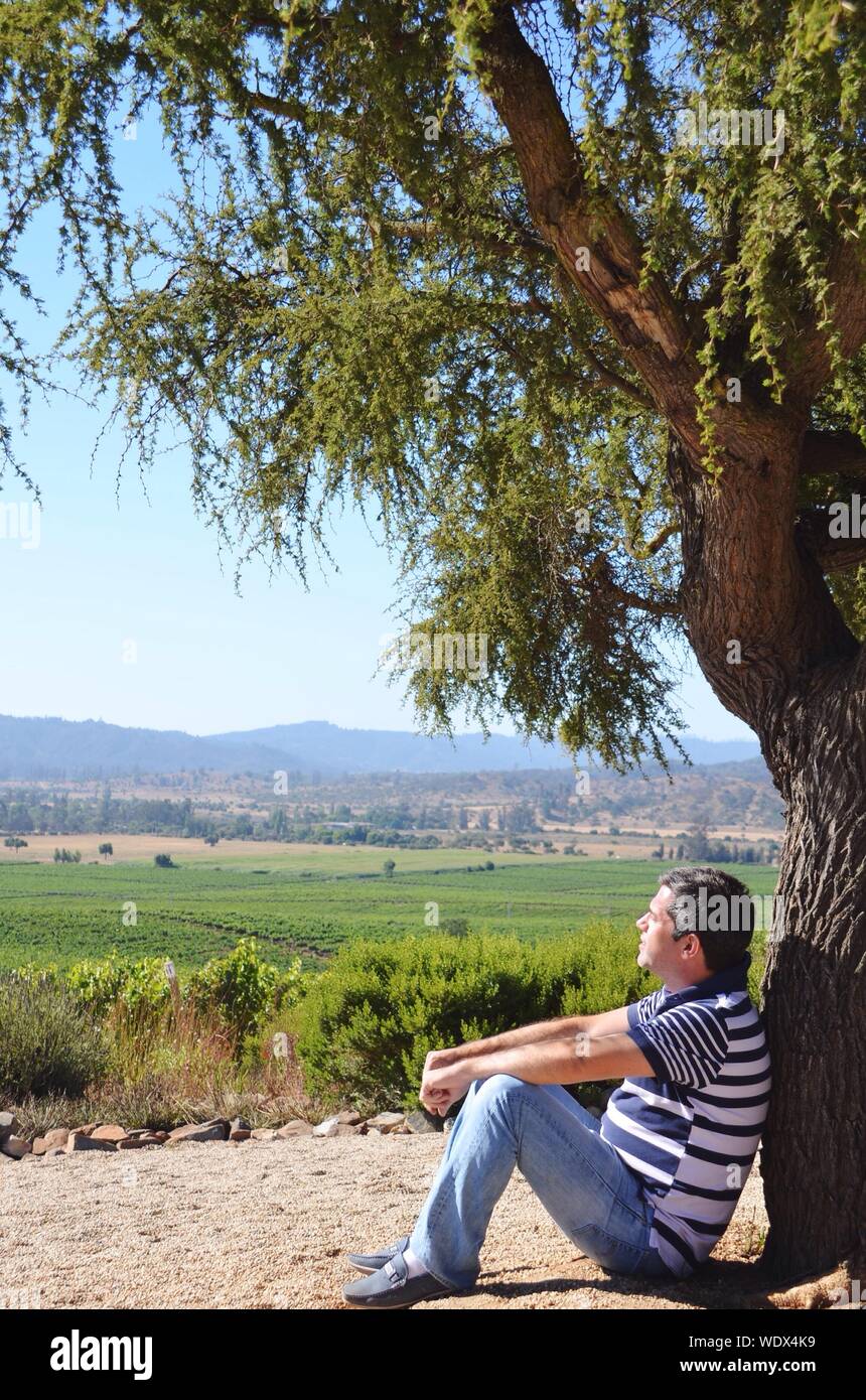 Man sitting under tree hi-res stock photography and images - Alamy