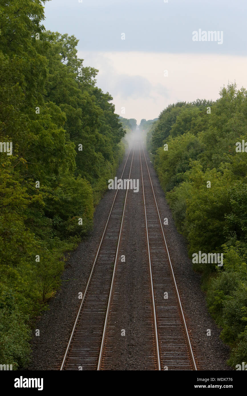 Elevated train tracks on green hi-res stock photography and images - Alamy