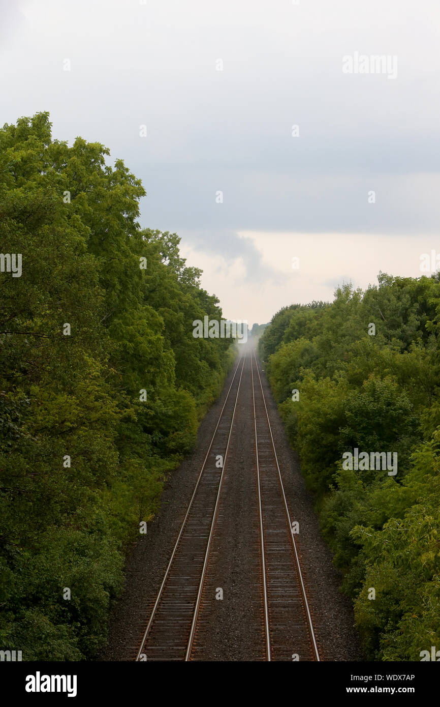Elevated train tracks on green hi-res stock photography and images - Alamy