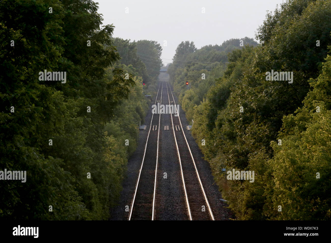 Elevated train tracks on green hi-res stock photography and images - Alamy