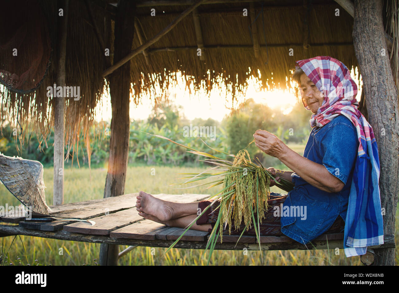 Farmer sitting hi-res stock photography and images - Alamy