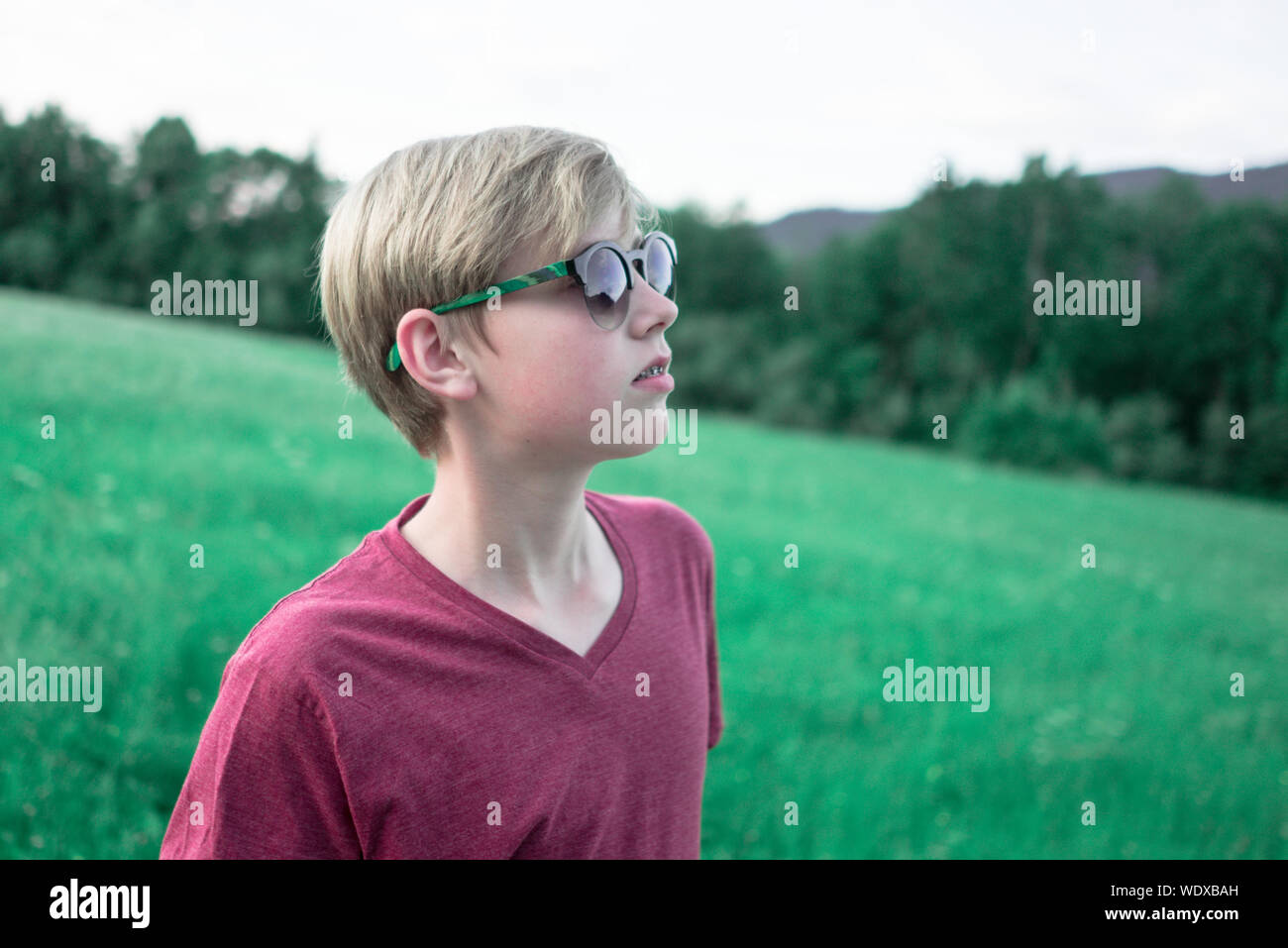 Cute field hi-res stock photography and images - Alamy