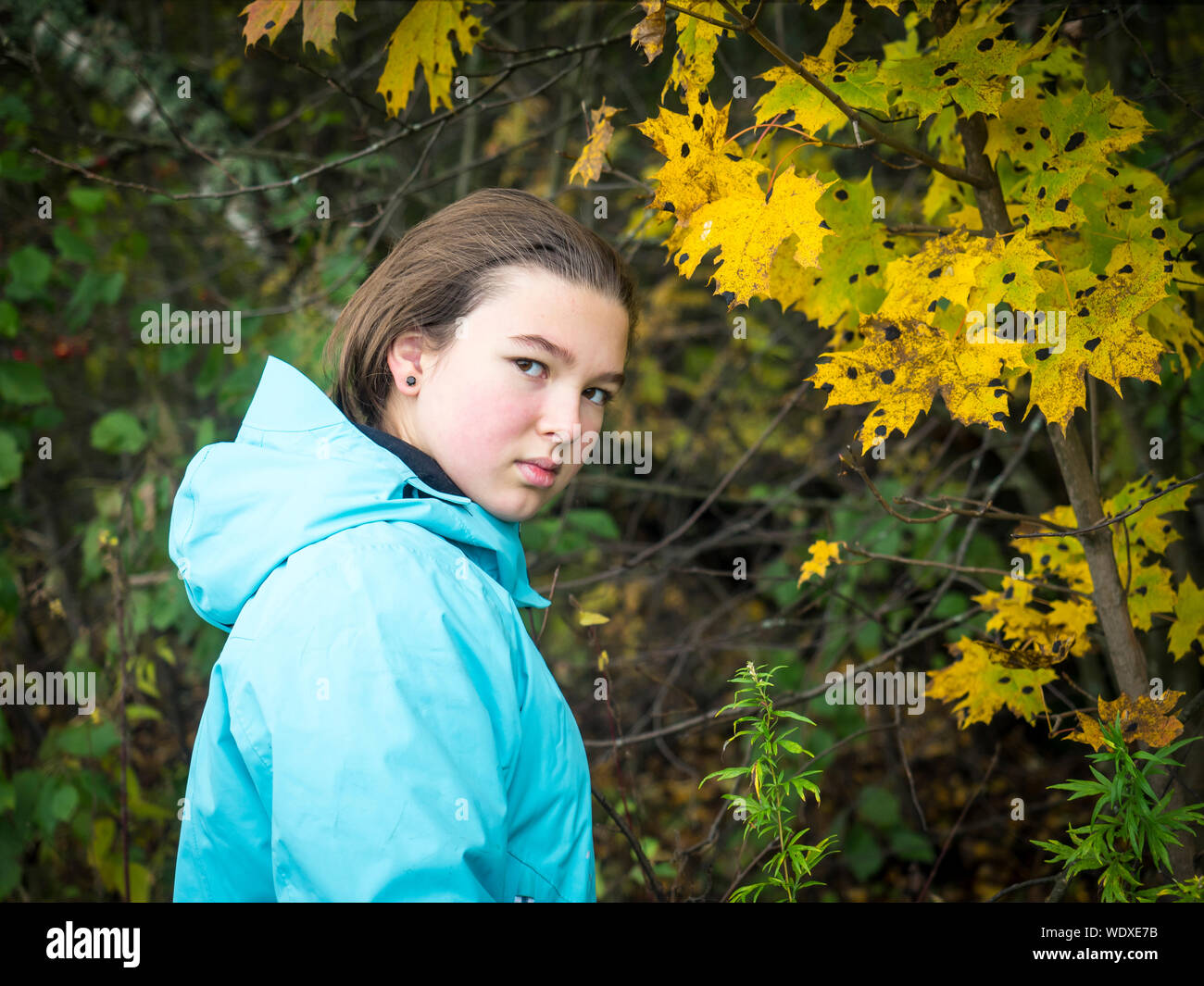 Girl up tree hi-res stock photography and images - Alamy