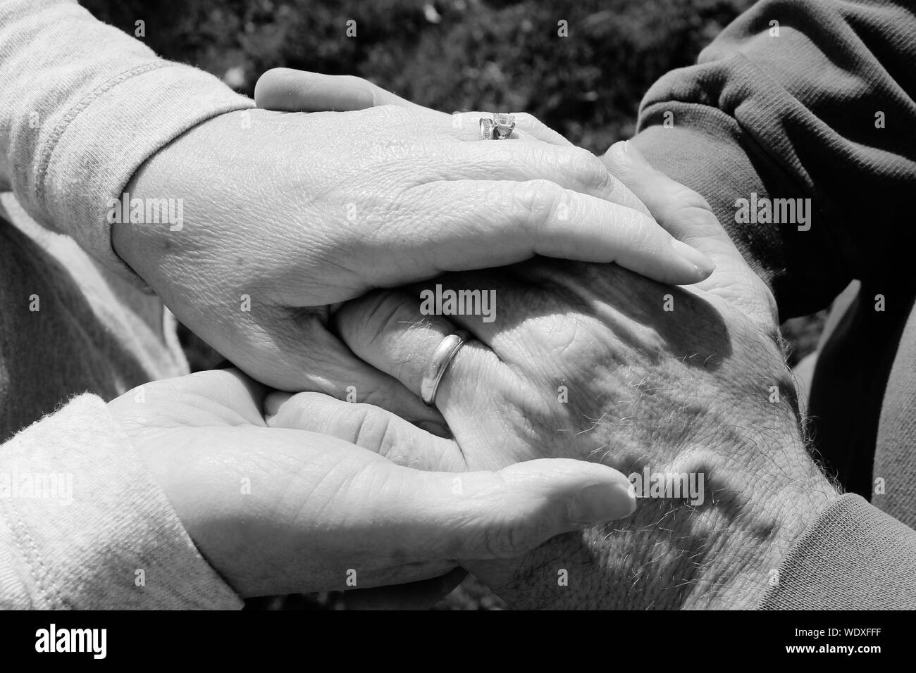 Ring of people holding hands hi-res stock photography and images - Alamy