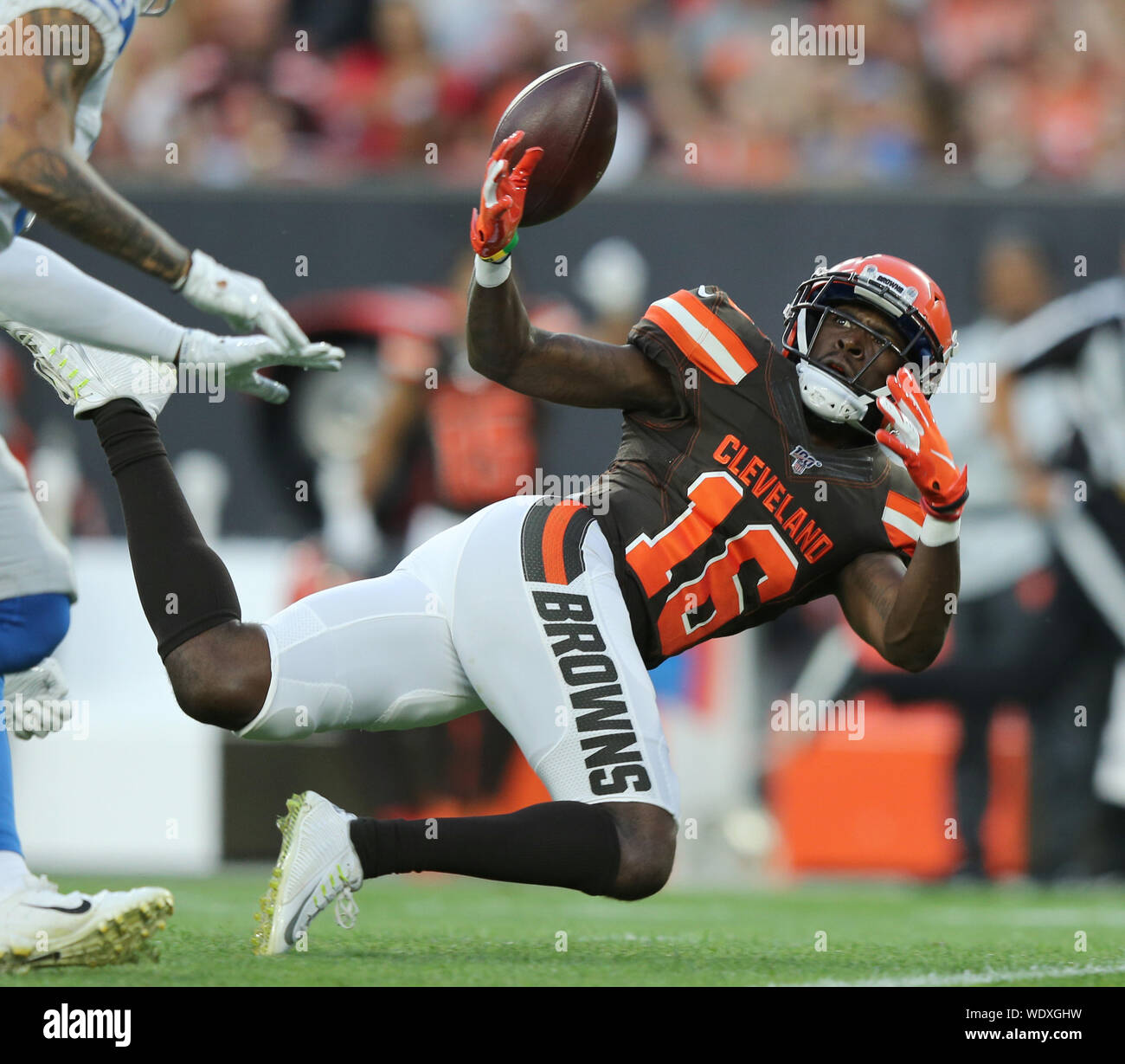 Aaron hyman hi-res stock photography and images - Alamy