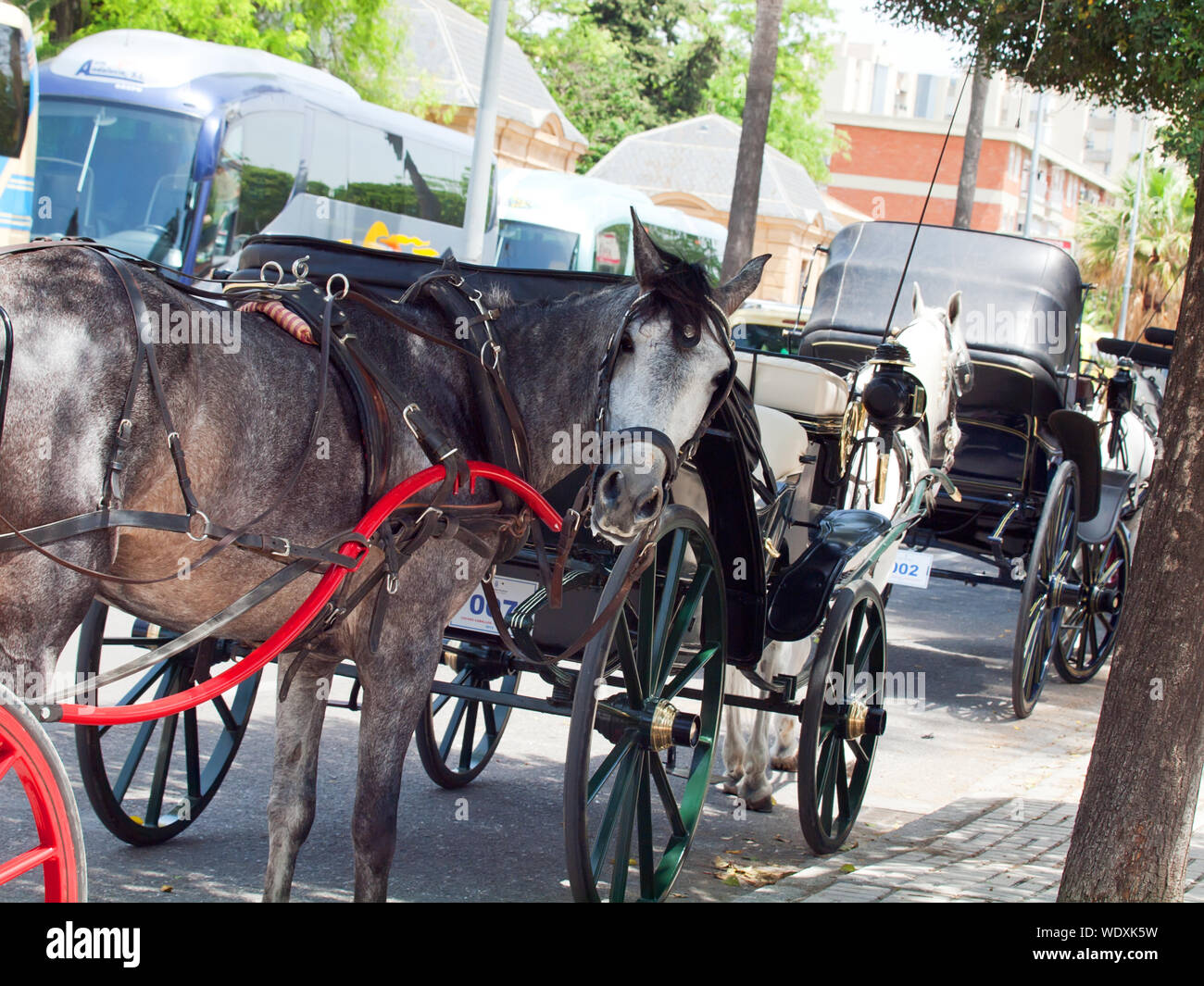 Two horse carts hi-res stock photography and images - Alamy