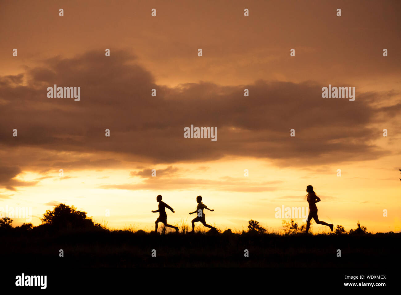 People running in field hi-res stock photography and images - Alamy