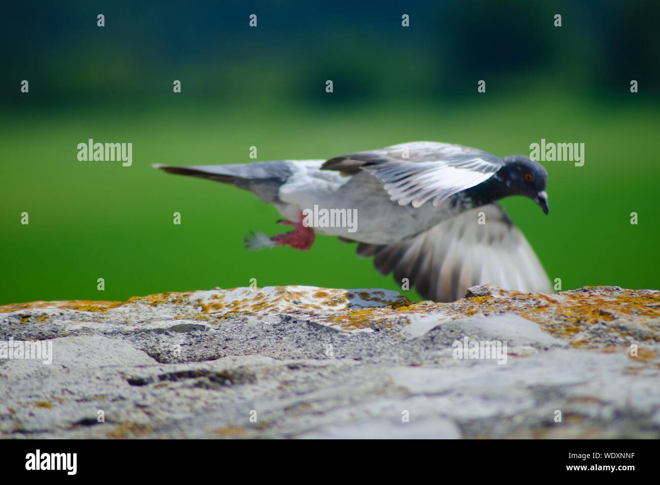 Flying rock hi-res stock photography and images - Alamy