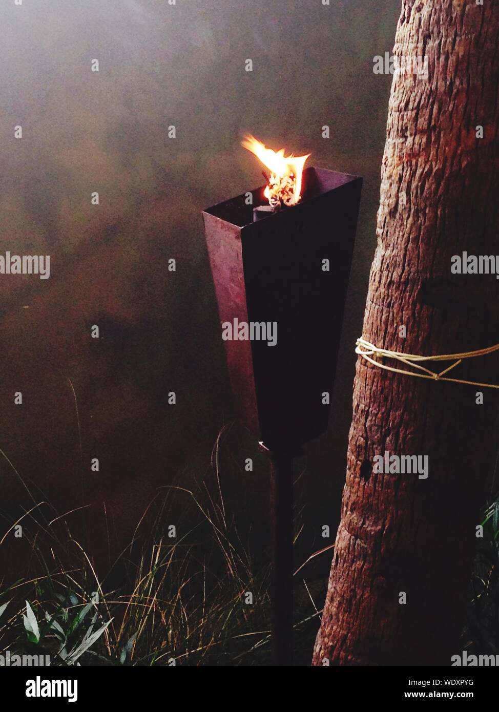 Torch the tree hi-res stock photography and images - Alamy