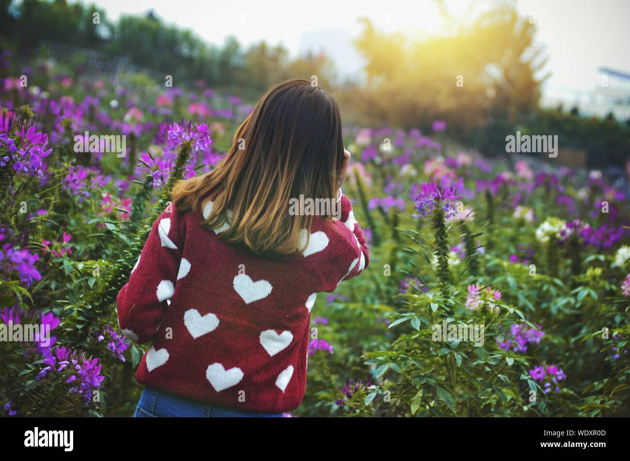Surrounded by flowers hi-res stock photography and images - Alamy