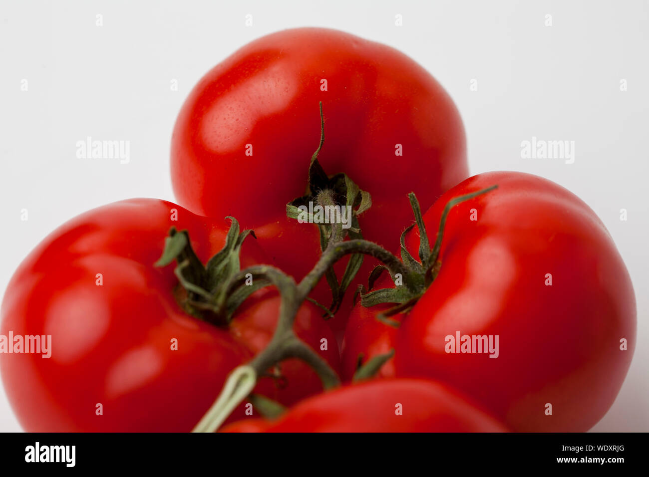 red tomatoes on vine Stock Photo - Alamy