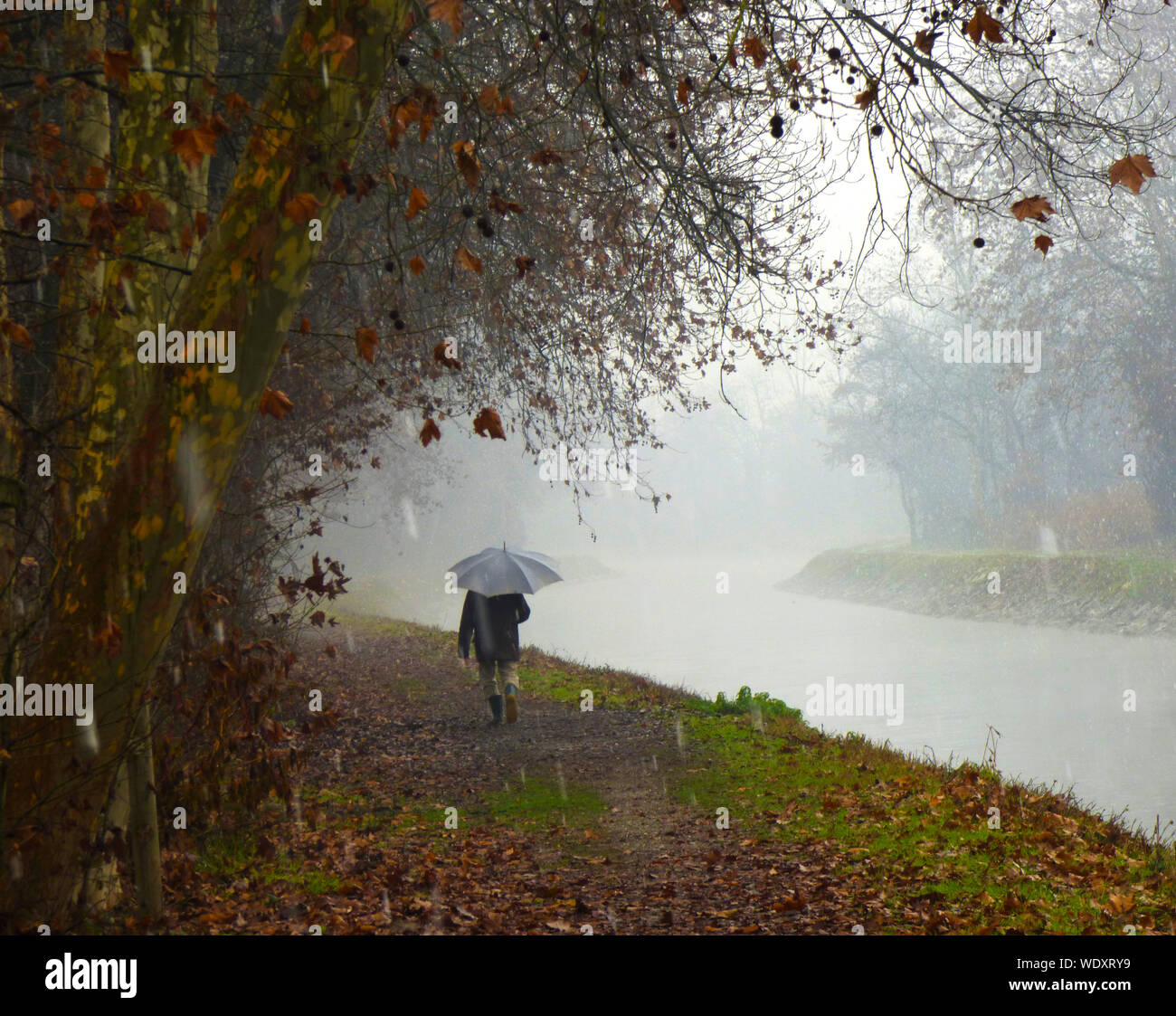 Man walking in rain umbrella hi-res stock photography and images - Alamy