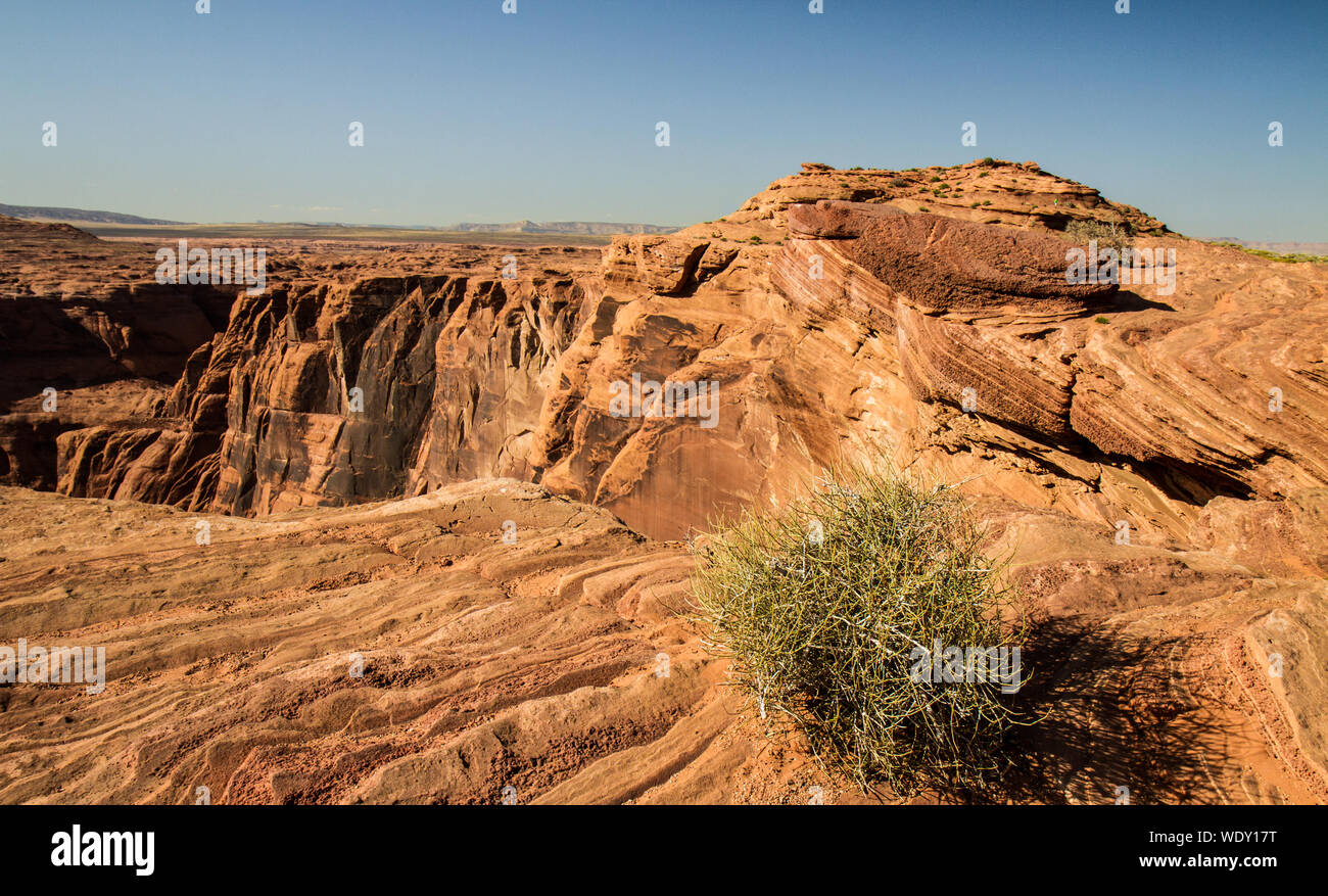 Tumbleweed High Resolution Stock Photography and Images - Alamy