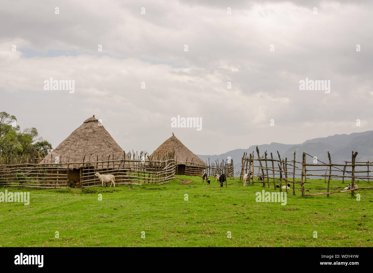 Traditional mud hut thatched roof hi-res stock photography and images ...