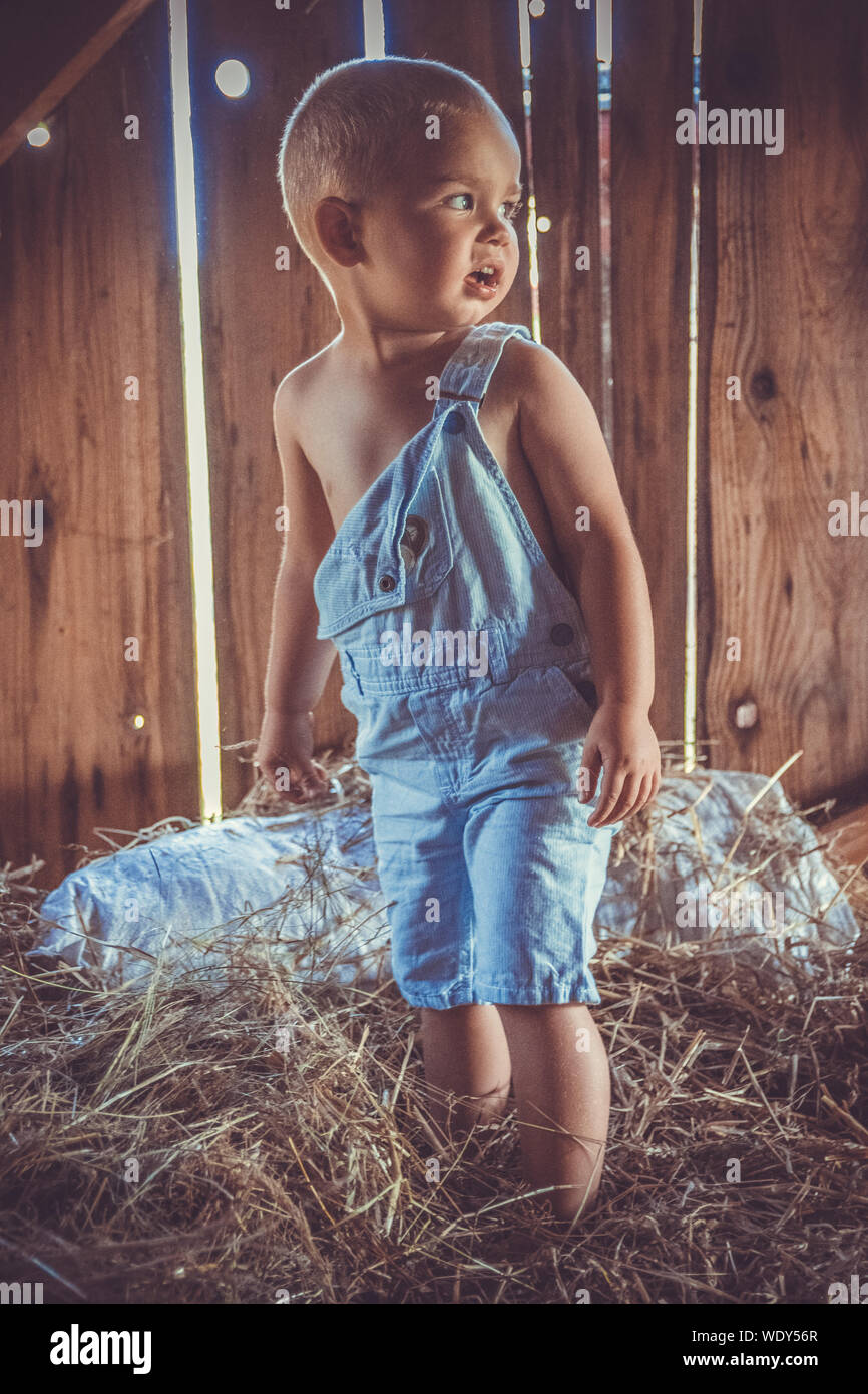 Boy and barn hi-res stock photography and images - Alamy