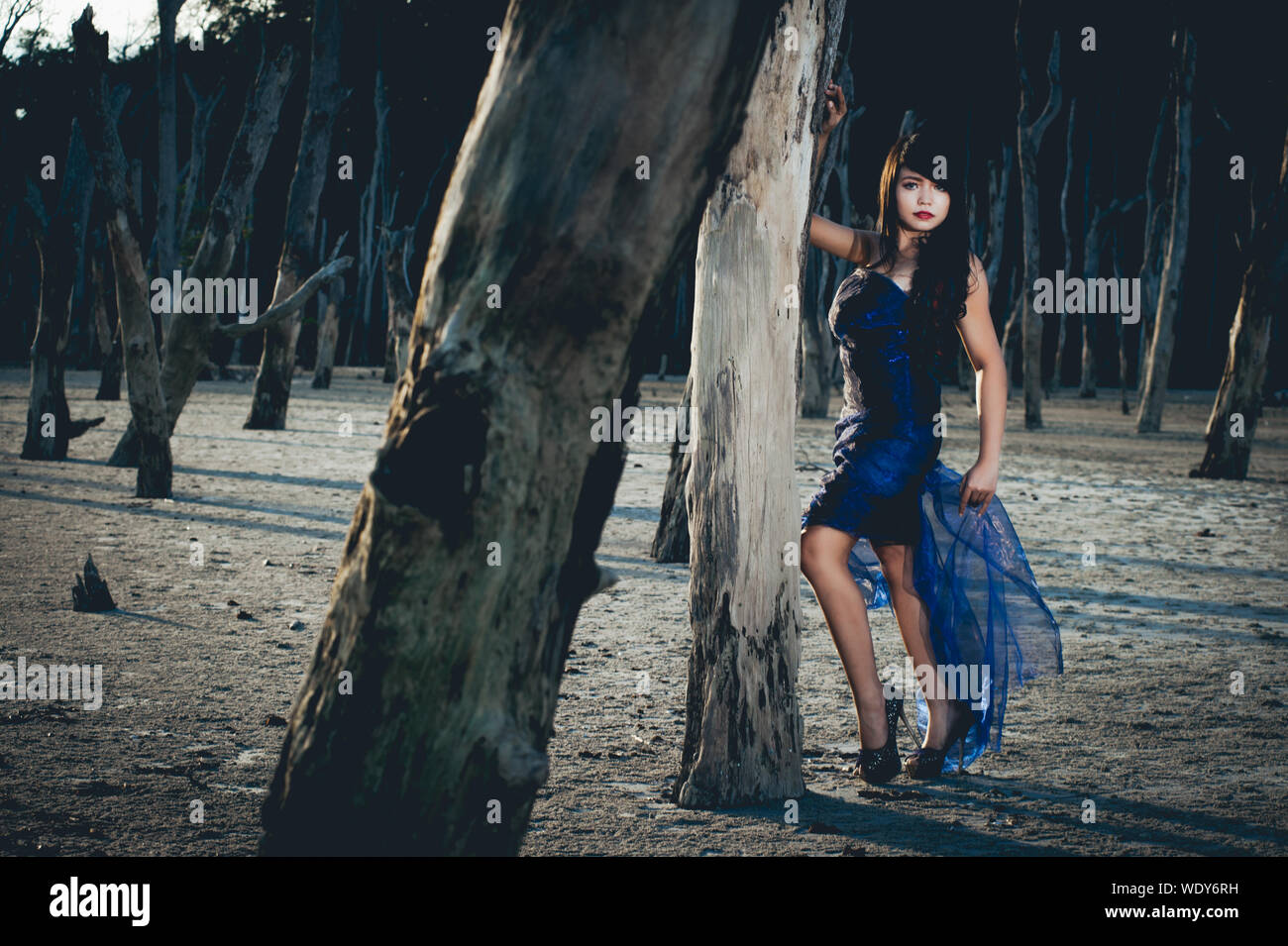 Model forest hi-res stock photography and images - Alamy