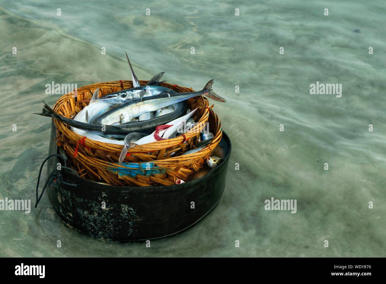 Fishing wicker basket fish hi-res stock photography and images - Alamy