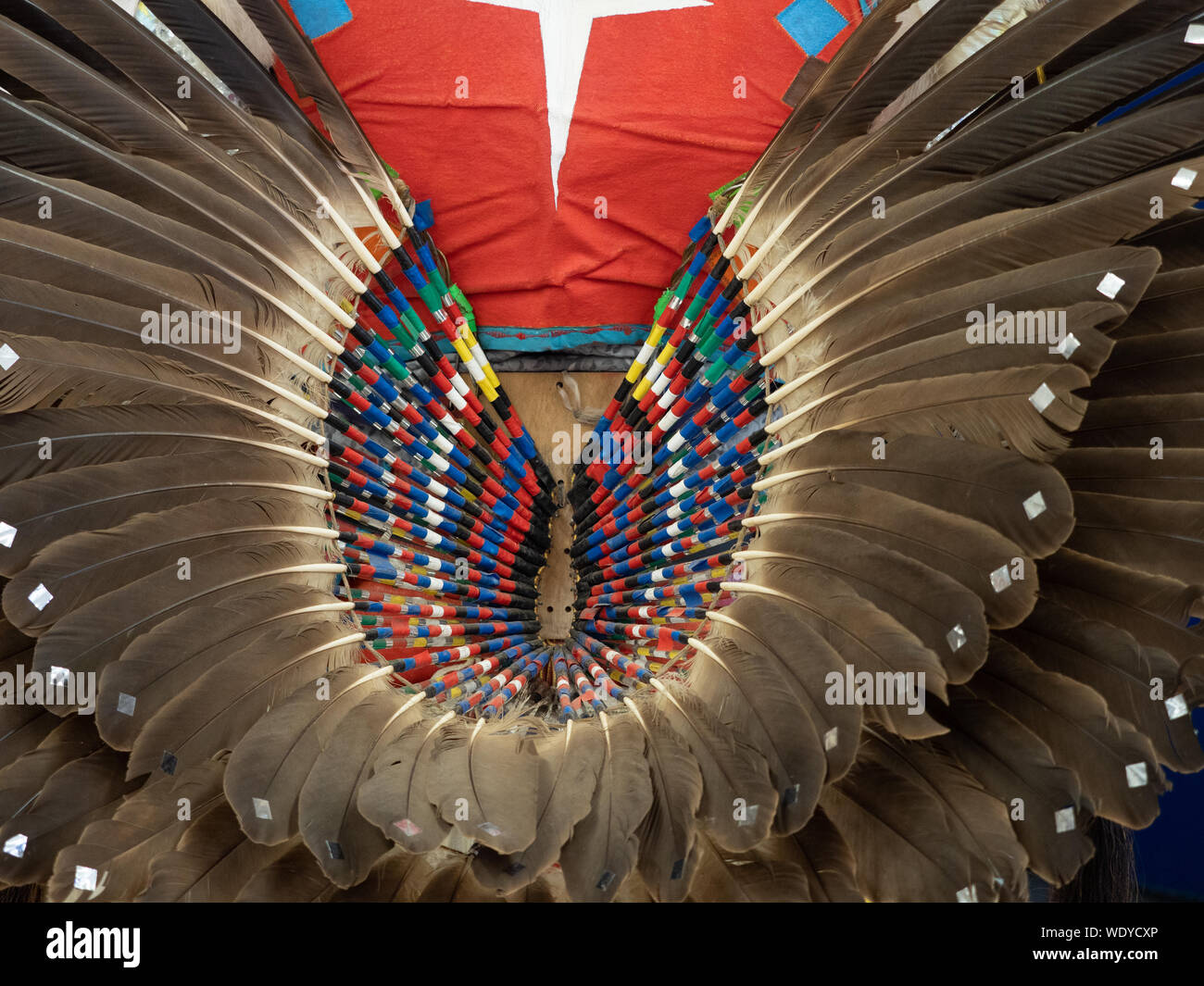 Close up of a feather bustle with decorated quills and red vest worn by ...
