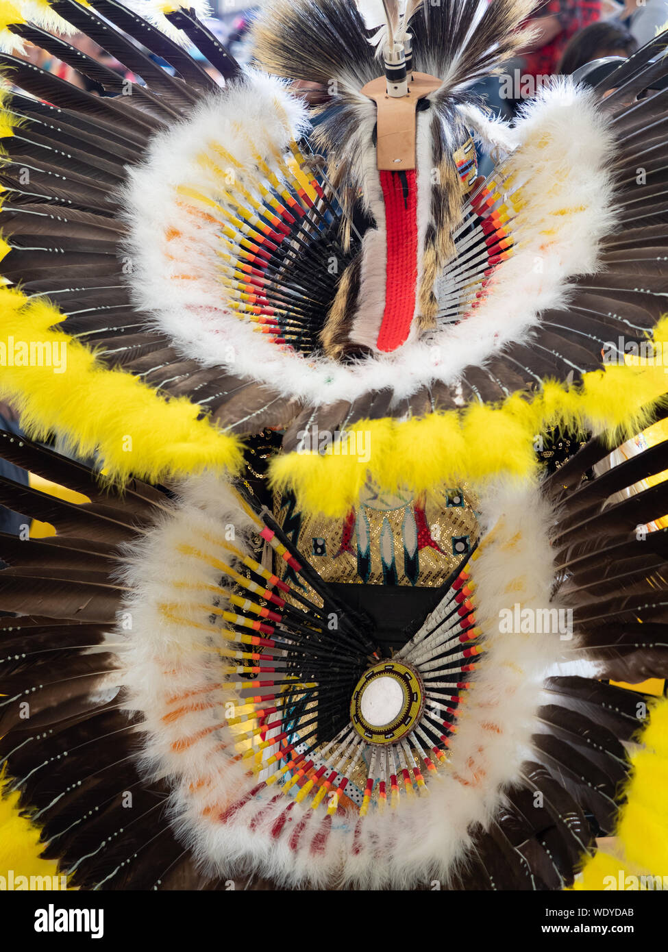 Close up of the feather headdress and bustle of a Native American man's ...