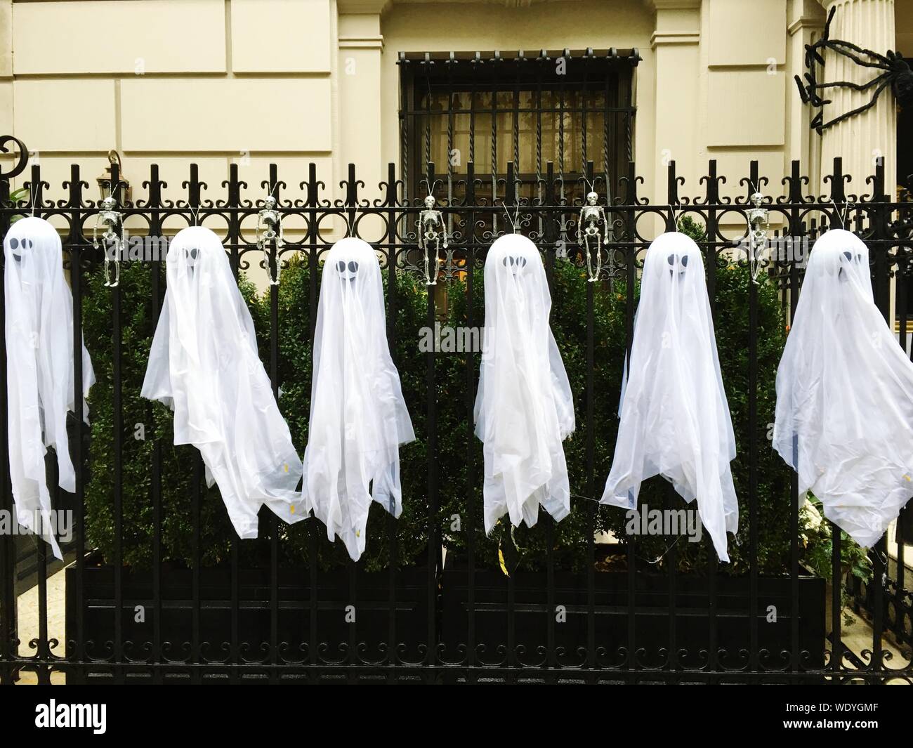 Skull on fence hi-res stock photography and images - Alamy