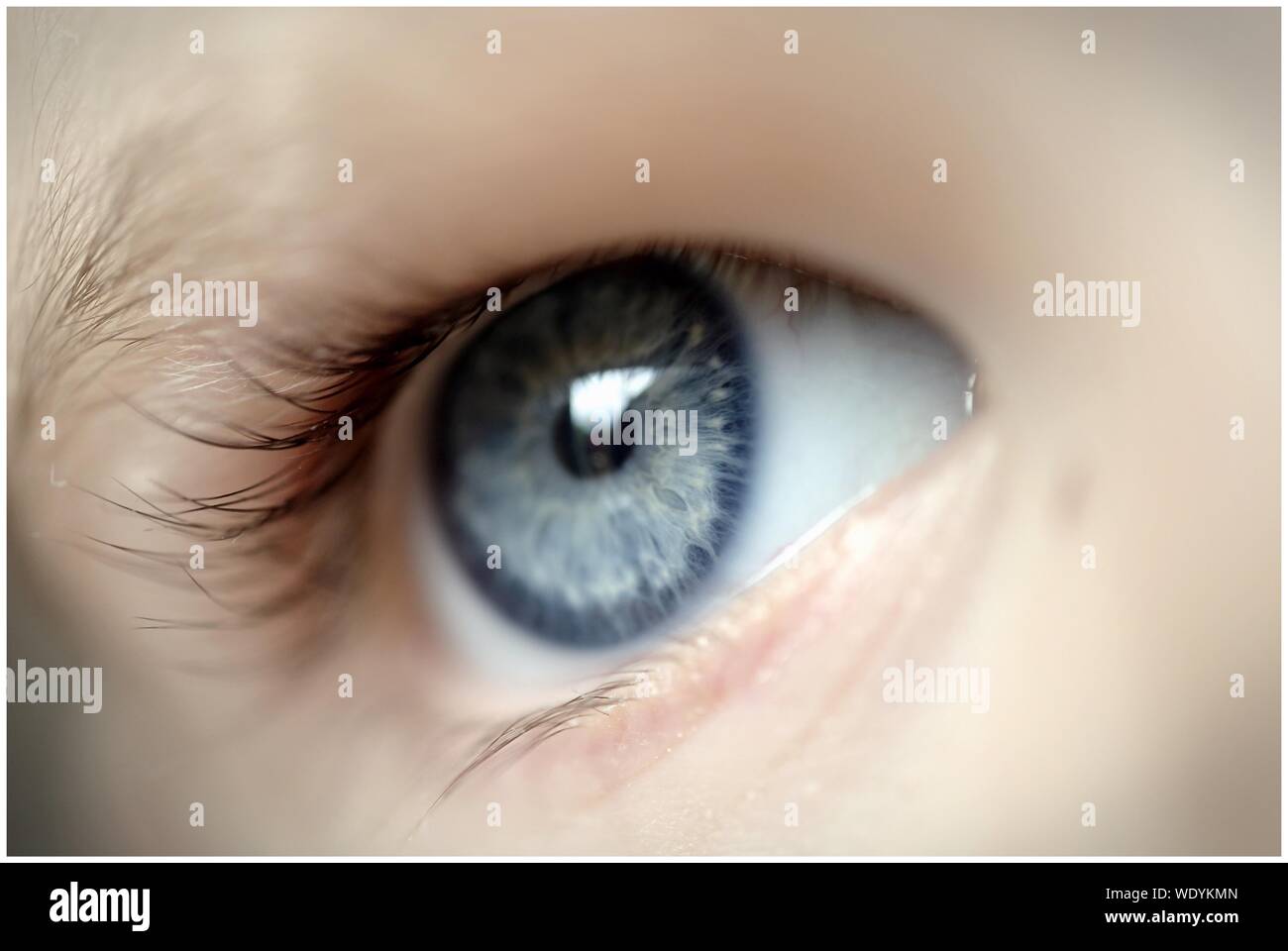 Human eye Cut Out Stock Images & Pictures - Alamy