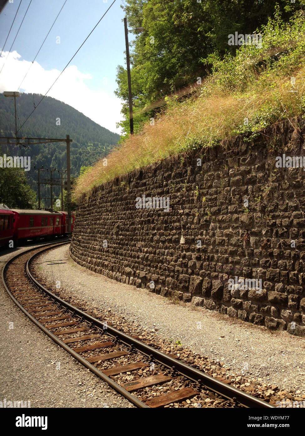 Railway trees hi-res stock photography and images - Alamy