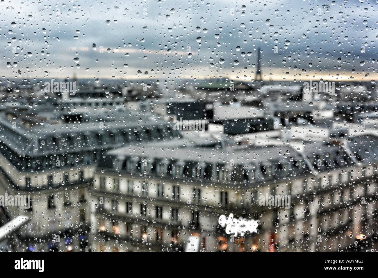 Wet rooftop hi-res stock photography and images - Alamy